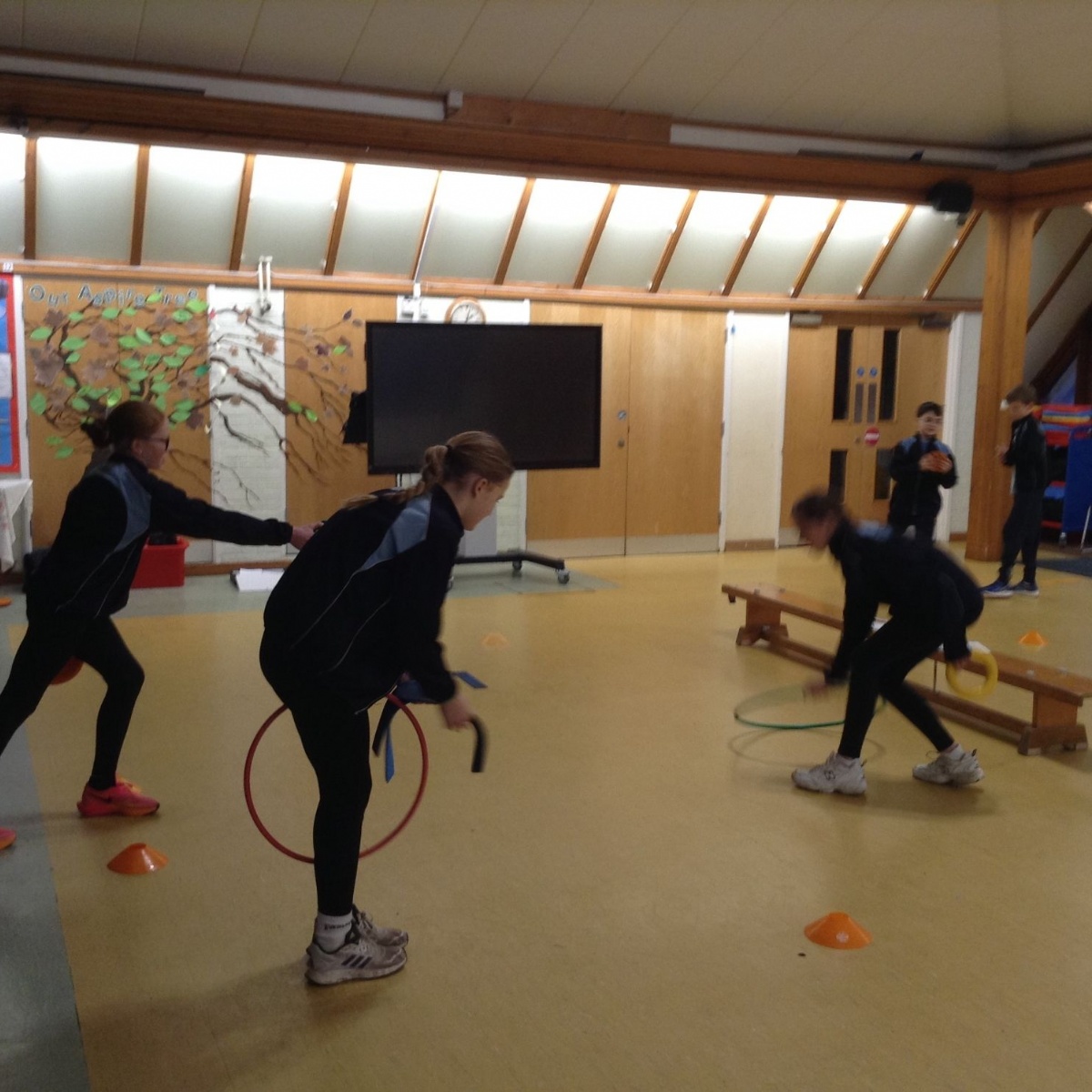 Great Waltham C of E (VC) Primary School - Bronze Ambassador Training