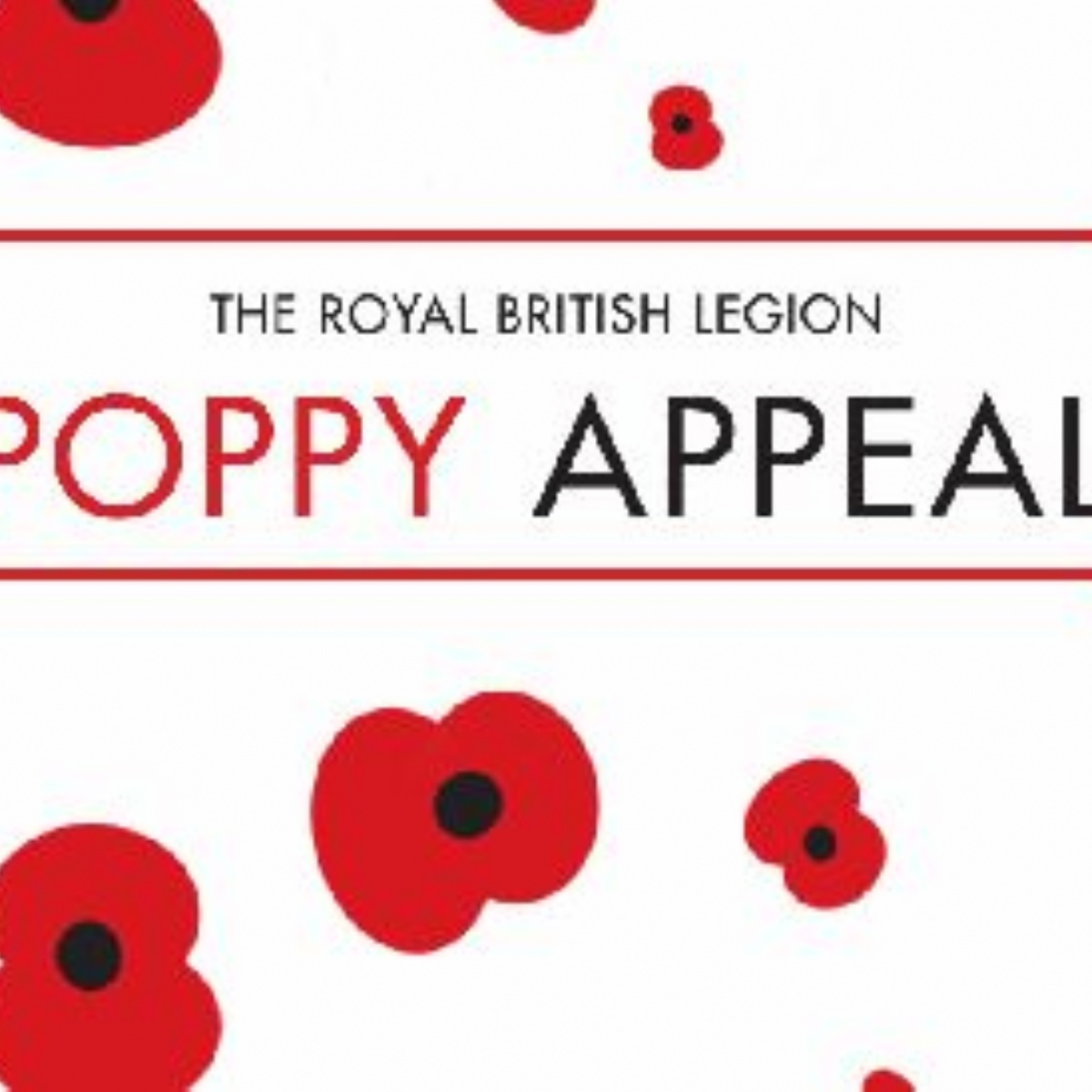 Great Waltham C of E (VC) Primary School - Poppy Appeal